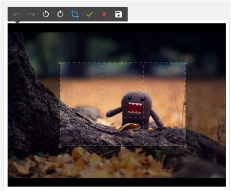 Best Javascript Image Crop Library Onaircode