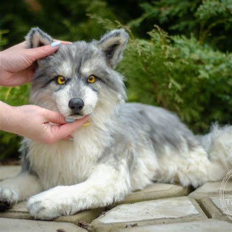 Realistic Stuffed Wolves Etsy