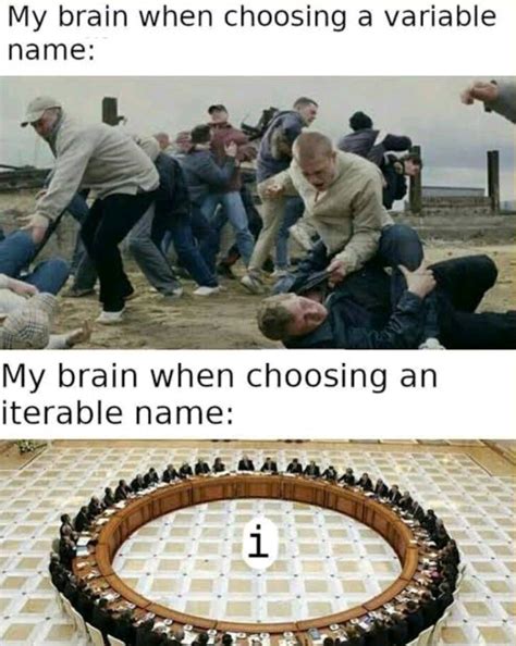 bhanu paliwal on linkedin developer variable programmer