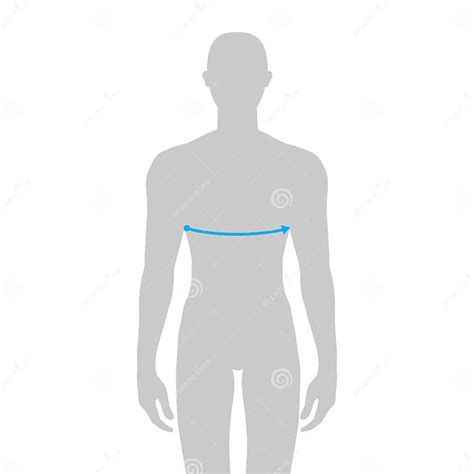 Bust Measurement Men At Humberto Watts Blog