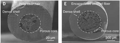 북극곰 털 모방한 스웨터 오리털 재킷보다 얇고 따뜻