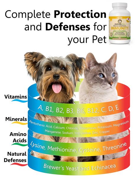 Immune System Booster for Dogs and Cats - Makondo Pets Immune System ...