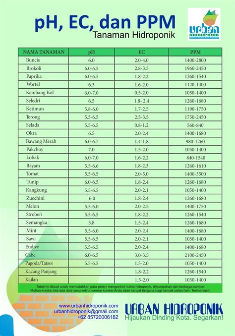 Perkebunan Sayur Berkebun Untuk Pemula Hidroponik