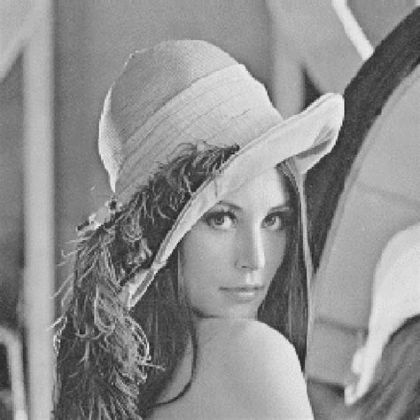 Figure 4 From Hue Preserving Color Image Enhancement Without Gamut Problem Semantic Scholar