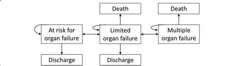 Proposed Markov Model Showing All Possible Transitions The Arrows