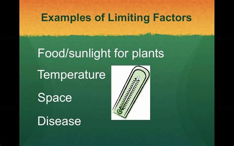 Limiting Factors Examples