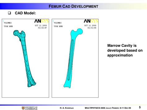 Ppt Finite Element Analysis Of Human Femur Powerpoint Presentation Free Download Id3006027