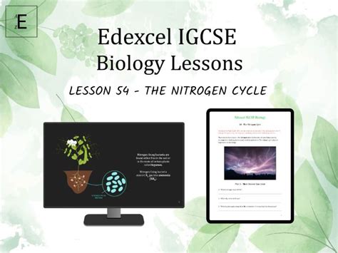Edexcel Igcse Biology Lesson 54 The Nitrogen Cycle Teaching Resources