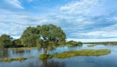 Nyerere National Park Grootste Nationale Park Van Tanzania Tanzania