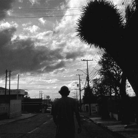 Albach 01albach • Instagram Photos And Videos