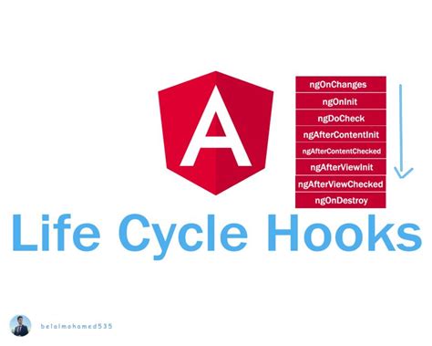 Mahmoud Ibrahim On Linkedin Angular Lifecycle Hooks
