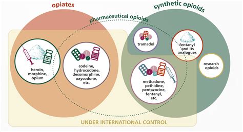 Opioids Vs Opiates What Is The Difference
