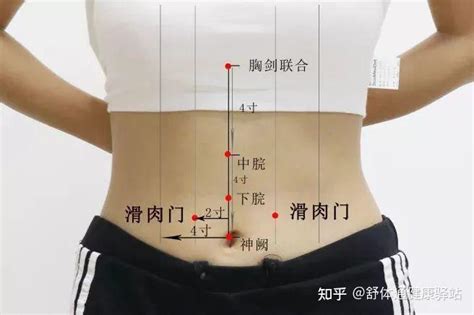 春天孩子长高的黄金期艾灸调理脾胃脾胃健运易长高 知乎