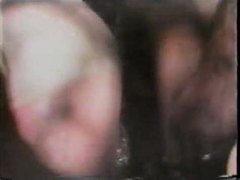 Sex Im Wald Xhamster