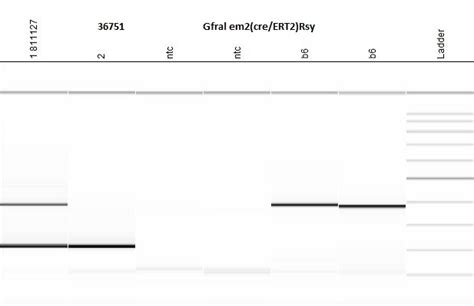 Protocol 42449 Gfral