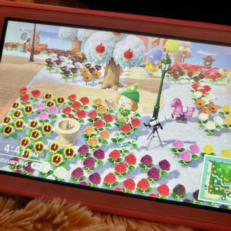 Ive Been Trying For A Blue Rose For 8 Months Today One Showed Up In