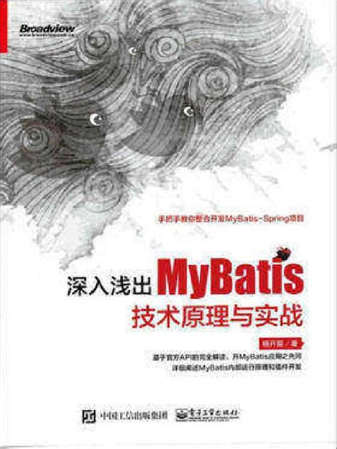 深入浅出mybatis技术原理与实战 杨开振 pdf information technology management