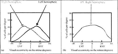 Figure 1 1 From The Effects Of Prism Adaptation On Unilateral Spatial Neglect Semantic Scholar