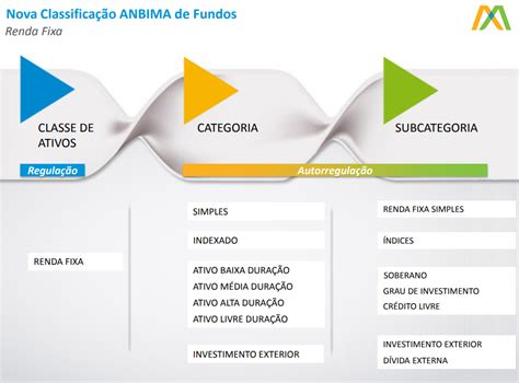 O Investimento Da Vez Qual A Estrategia Do Meu Fundo De Investimento