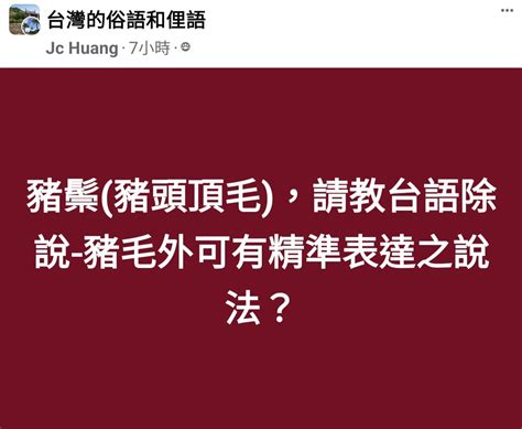 閩南語漢字正字 這個的閩南語稱之為「豬鬃ㄉㄧˇ ㄗㄤˇ」我是用這種「龜之子鬃毛刷」，台語稱之為「鬃刷子ㄗㄤˇ Facebook