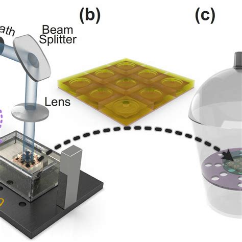 Schematic Of The Fabrication Process Of 3 D Thz Metamaterials A Pµsl Download Scientific