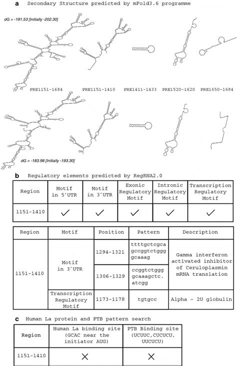 Bioinformatics Analysis Of Pre 1151 1410 A Hbv Pre Rna Secondary Download Scientific Diagram