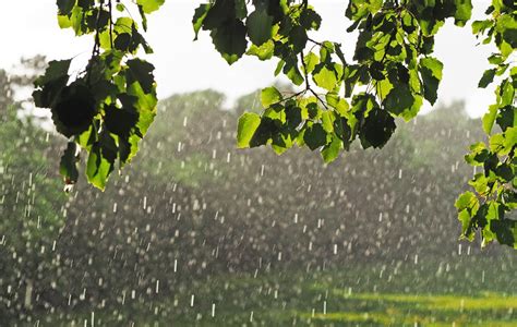 「狐の嫁入り」とは天気雨などの意味を持つ言葉｜由来や仕組み、各地の伝承行事 Domani