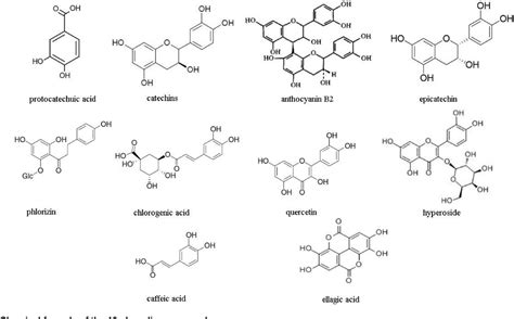 Figure 1 From Development And Validation Of A Reversed Phase Hplc