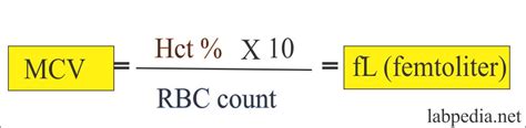 Mean Corpuscular Volume Mcv Mean Cell Volume