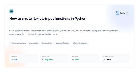 How To Create Flexible Input Functions In Python Labex