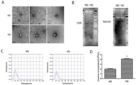 Microarray Expression Profile Of Exosomal Circrnas Dmso