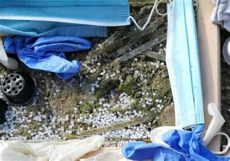 Particular Of The Sandbox Download Scientific Diagram