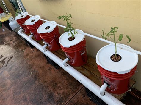Recirculate Dwc Bucket Two How To Build Dwc Recirculating Deep Water