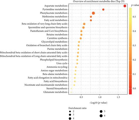 Metabolic Pathways Enrichment Analysis Of Differential Metabolites Was