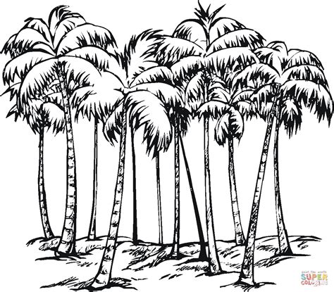 Coconut Tree Coloring Pages Printable
