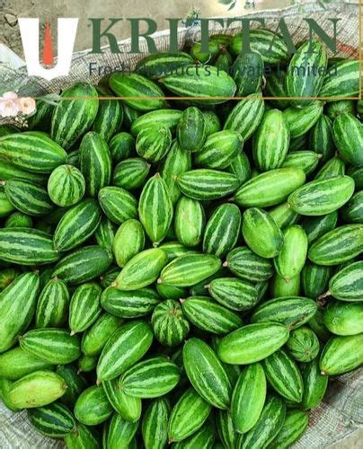 Fresh Parwal Packaging Size 100 Kg Packaging Carton At ₹ 40kg In