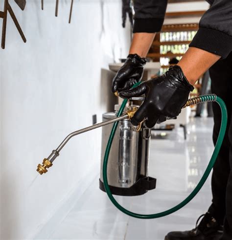 Restaurant Pest Control Services Entech