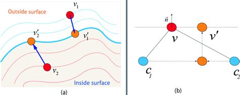 A The Process Of Vertex Positioning B Tangential Relaxation Download Scientific Diagram