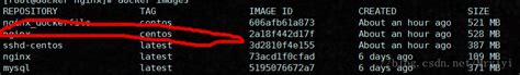Docker 安装 创建支持ssh服务的镜像 创建nginx服务的镜像 用dockerfile制作nginx镜像nginx公版镜像装ssh