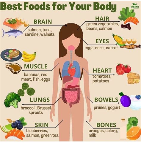 Beat Foods For Your Body Smoothie Diet Healthy Lifestyle Health Tips