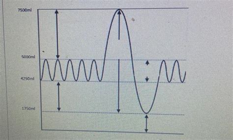 Solved Use The Spirometer Graph Below To Calculate The Rv