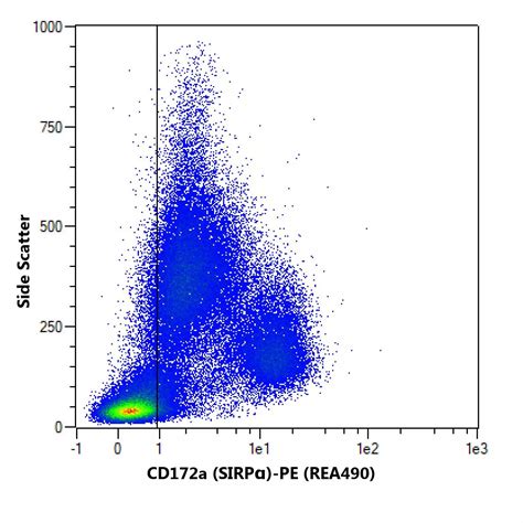 Cd172a Sirpα Antibody Anti Rat Reafinity™ Miltenyi Biotec India