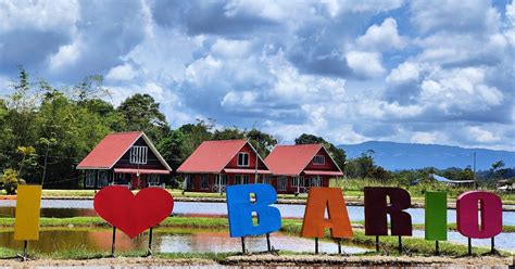 Best Moments In Sarawak · Miri · Bario · Mulu Itinerary · Much More To