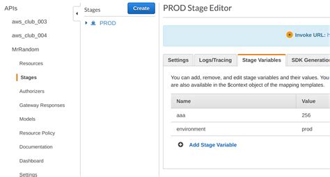 Amazon Web Services Aws How To Pass Stage Variables In API Gateway