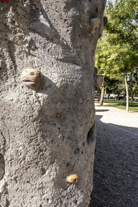 In Artificial Climbing All Types Of Material Such As Cracks Stock Image Image Of Climbing