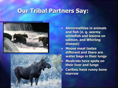 Ppt Persistent Bioaccumulative And Toxics Pbt Program Setting The Context Powerpoint