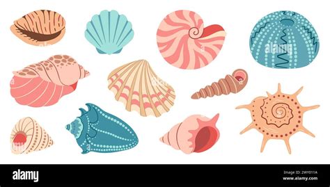 Sea Shell Cartoon Set Ocean Exotic Underwater Seashell Conch Aquatic Mollusk Sea Spiral Snail