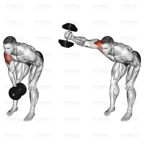Dumbbell One Arm Y Elevation Exercise Guide Techniques Benefits How To Muscles Worked Tips