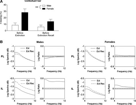 Persistent Prelimbic Cortex Activity Contributes To Enhanced Learned