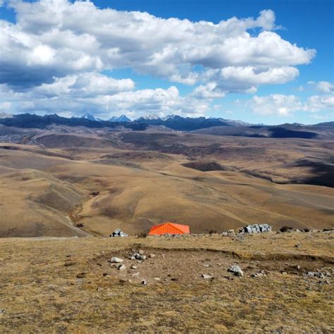 Ps怎么设置背景图：详细步骤与技巧解析调整图层的图片